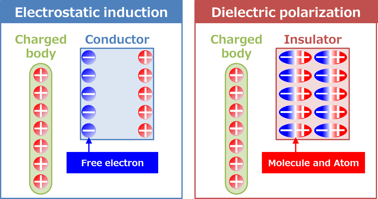 Difference between Induction and Polarization - Electrical Information Difference between Induction and Polarization - Electrical Information