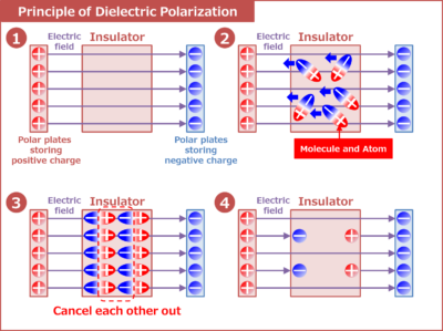 Dielectric Polarization (Explanation, Principle) - Electrical Information